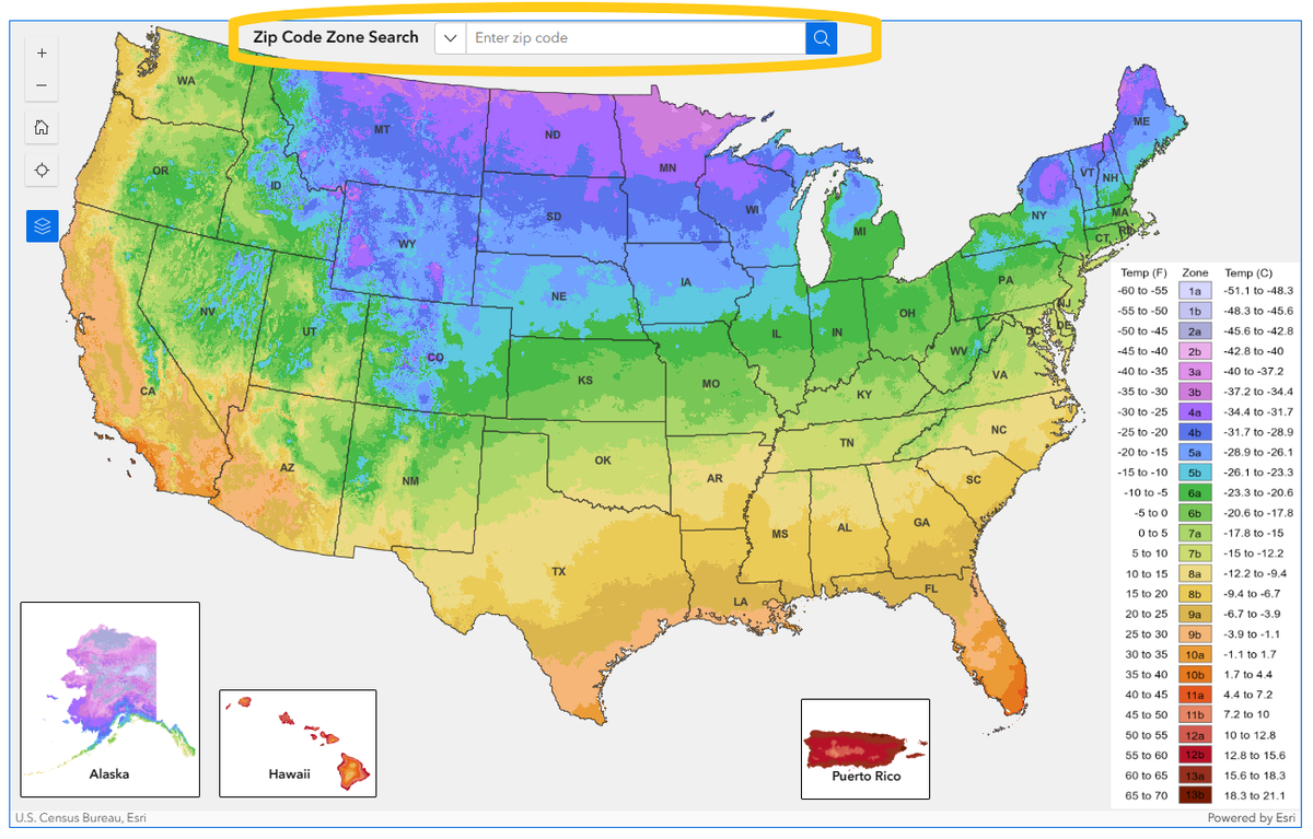 Zone 4 — Edible Landscaping