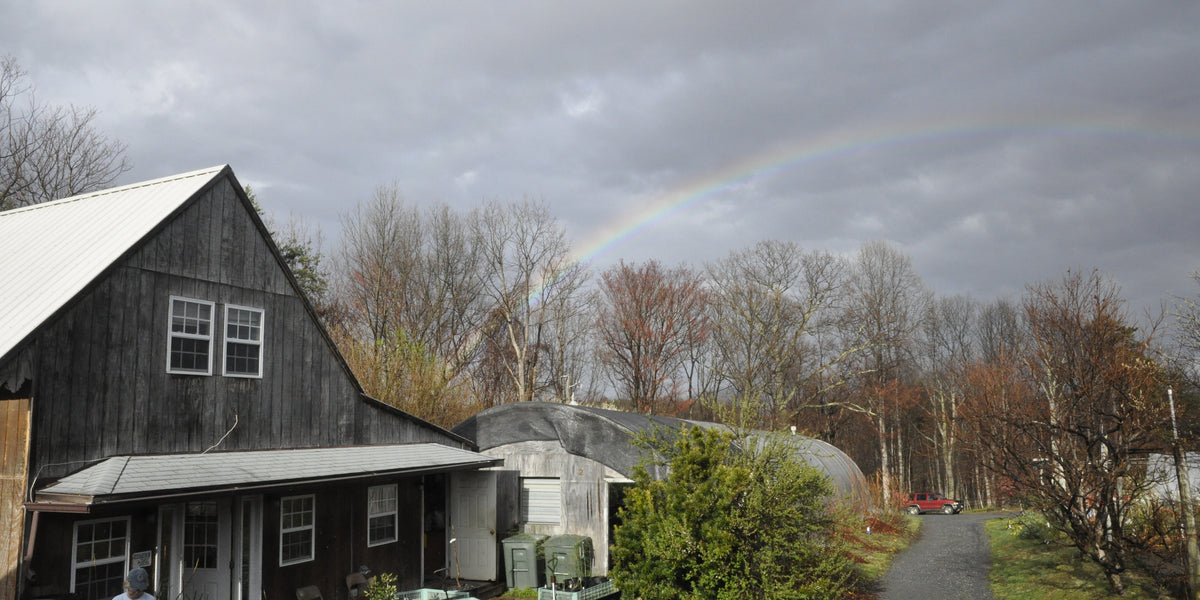 Che Care Guide — Edible Landscaping