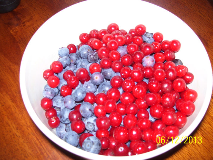 Bush Cherry — Edible Landscaping
