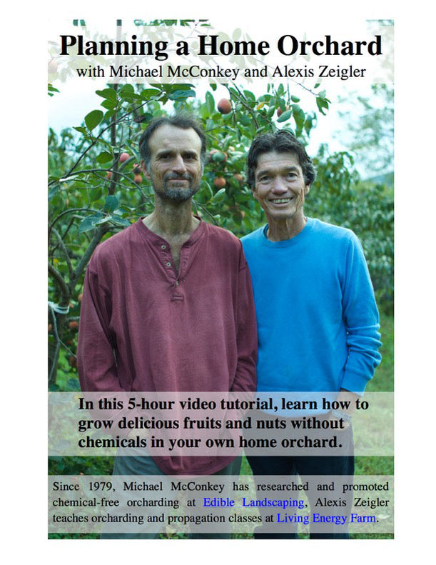 Planning A Home Orchard Video — Edible Landscaping