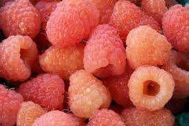 Double Gold Raspberry — Edible Landscaping